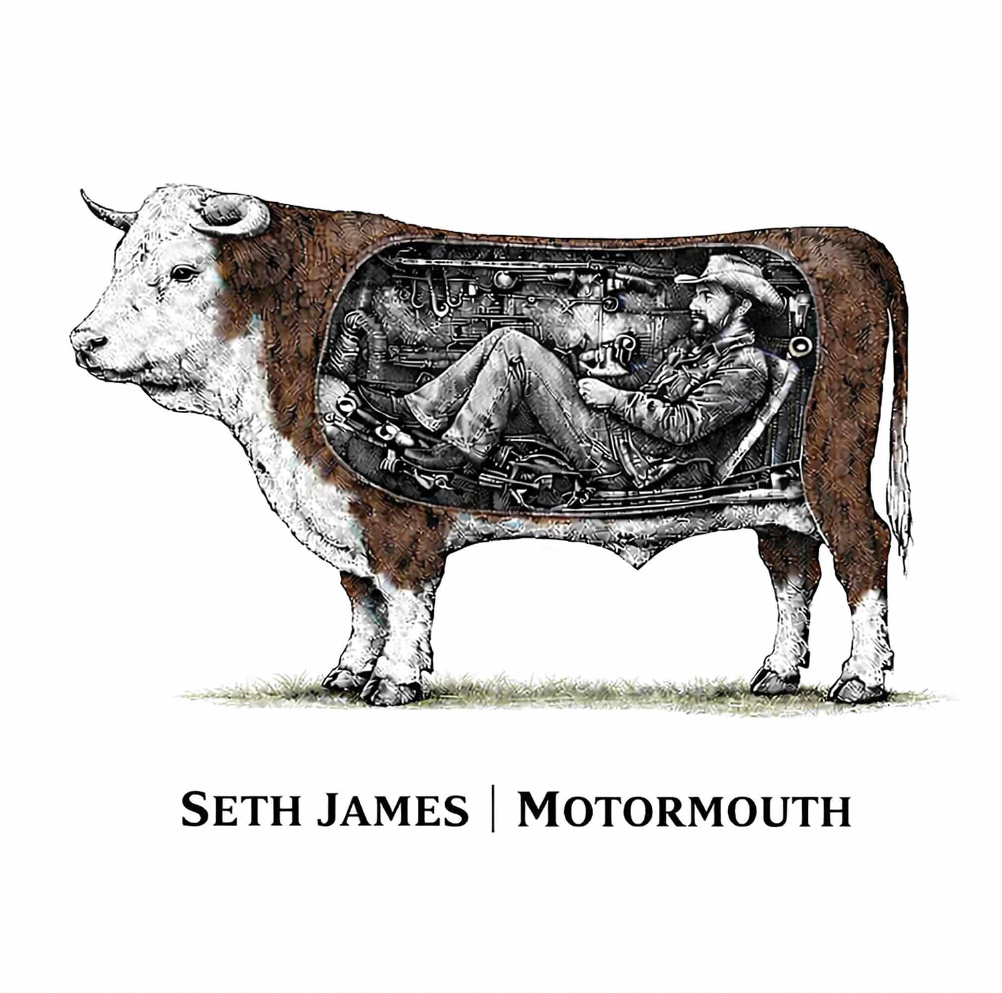 Album recensie: Seth James - Motormouth